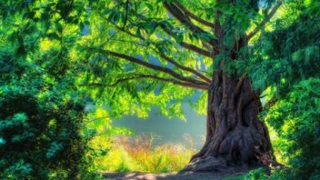 How Long Ago Was Adam Created!? | About Islam
