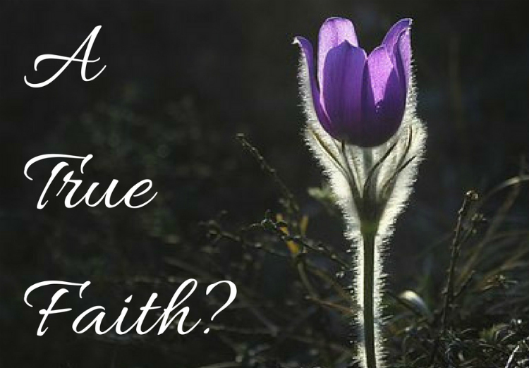 Is There Criteria for True Faith? | About Islam