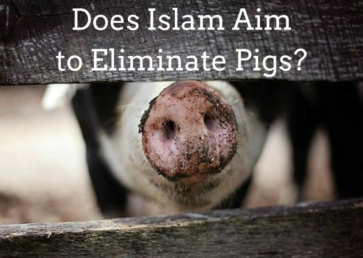 Does Islam Aim to Eliminate Pigs? | About Islam