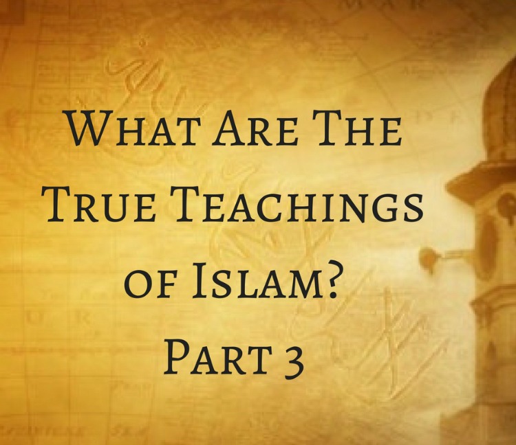 What Are The True Teachings of Islam? Part 3 | About Islam
