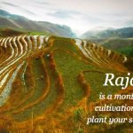 Salam - The Greeting of All Prophets | About Islam