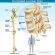 Prayer Movements Reduce Back Pain | About Islam