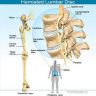 Prayer Movements Reduce Back Pain | About Islam
