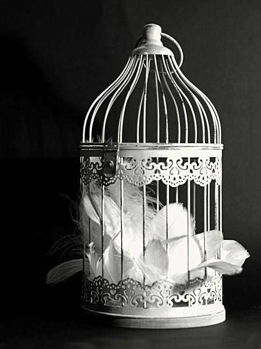 In the Cage of Marriage with an Uncaring Husband | About Islam