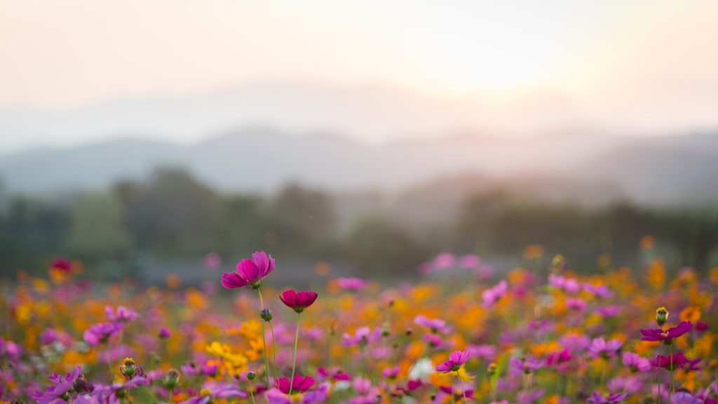 Discovering Islam | About Islam