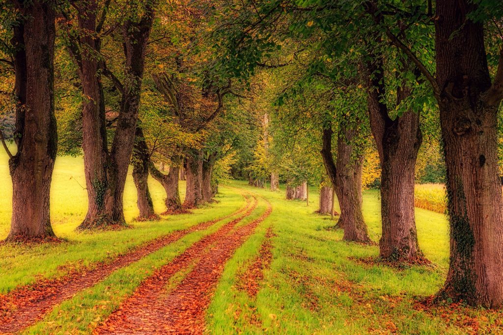 5 Taqwa Boosters All Year Round! | About Islam
