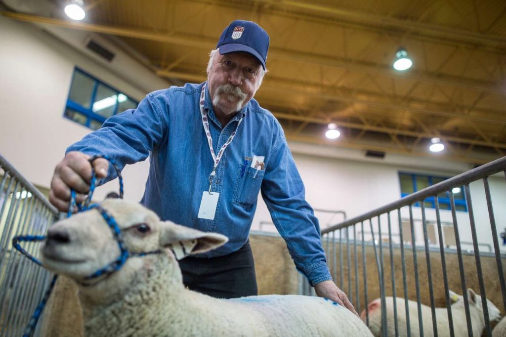 halal meat | About Islam