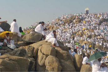 Ask the Scholar | About Islam