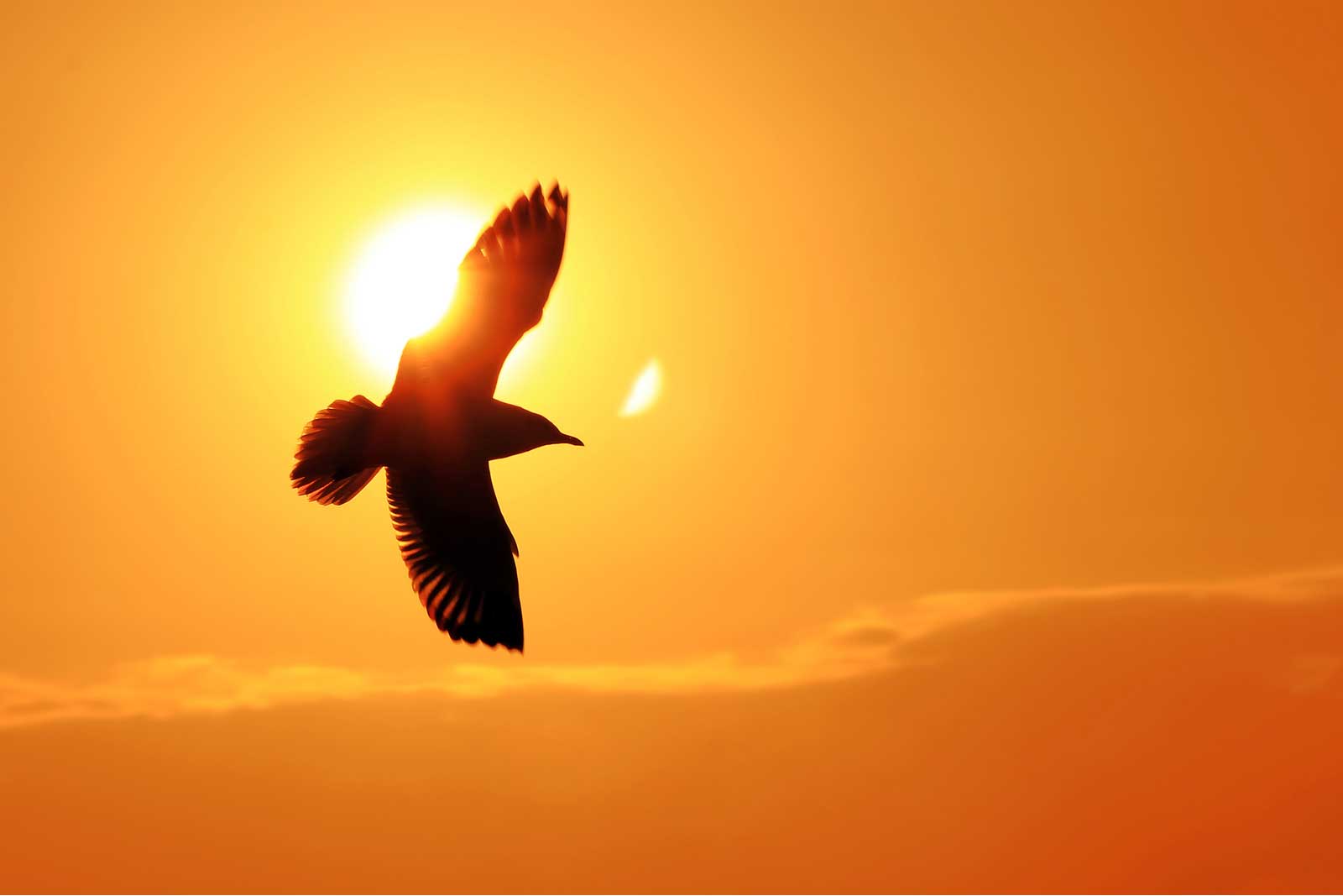 14 Lessons from the Story of Adam's Two Sons, Qabil and Habil | About Islam