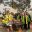 Aussie Muslims Cook Meals for Exhausted Firefighters | About Islam