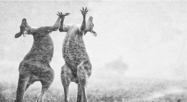 As Aussie Muslims Pray for Rain, Sky Pour Forth its Blessings | About Islam