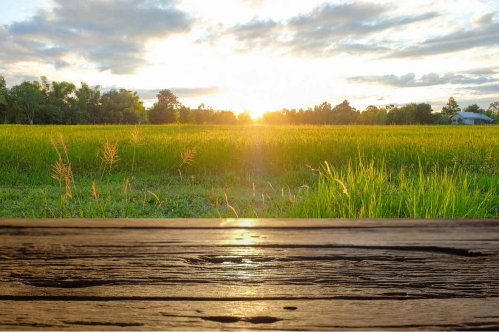 About Muhammad | About Islam