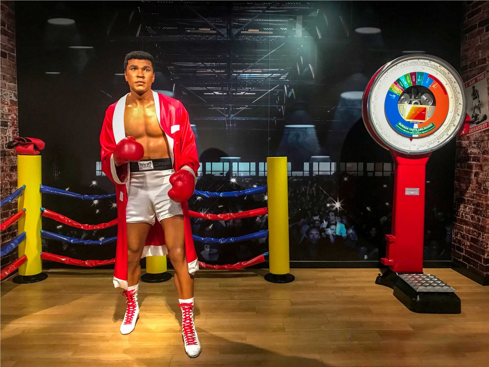 13 Things You Might Not Know About Muhammad Ali | About Islam