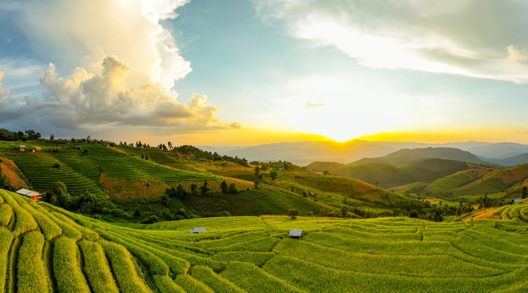 10 Green Hadiths... What Islam Says About Environment