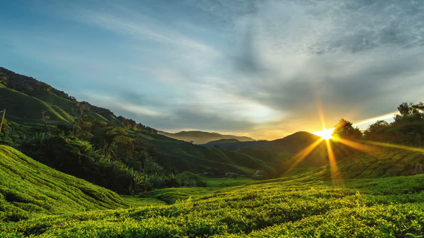 Dhul Hijjah; The Days Allah Swears by | About Islam