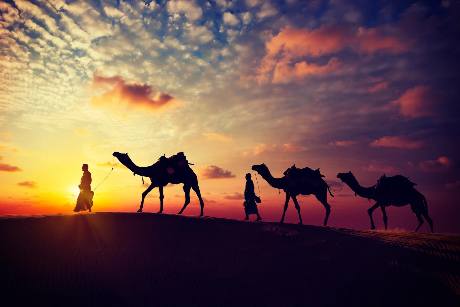 Shariah | About Islam