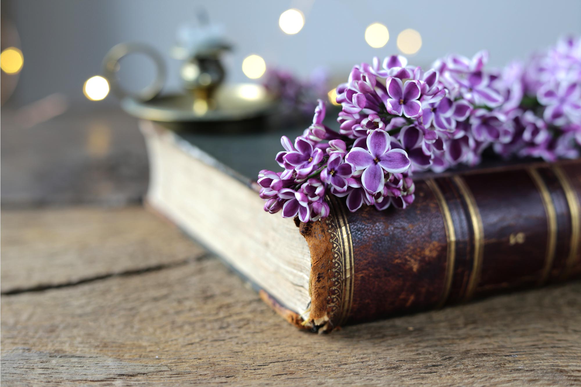 Hafsa bint Sereen: A Remarkable Scholar in Islamic History | About Islam