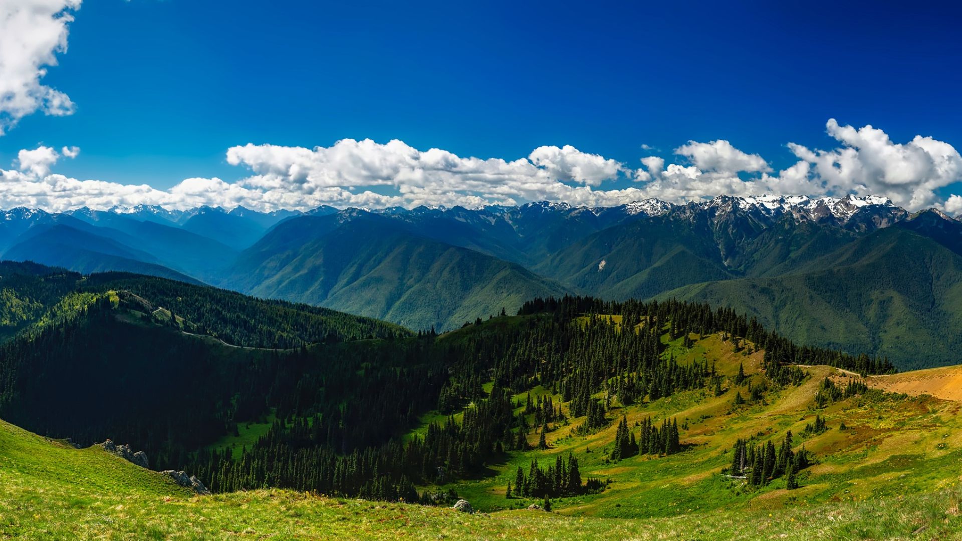 Only One God - The Core Belief in Islam | About Islam