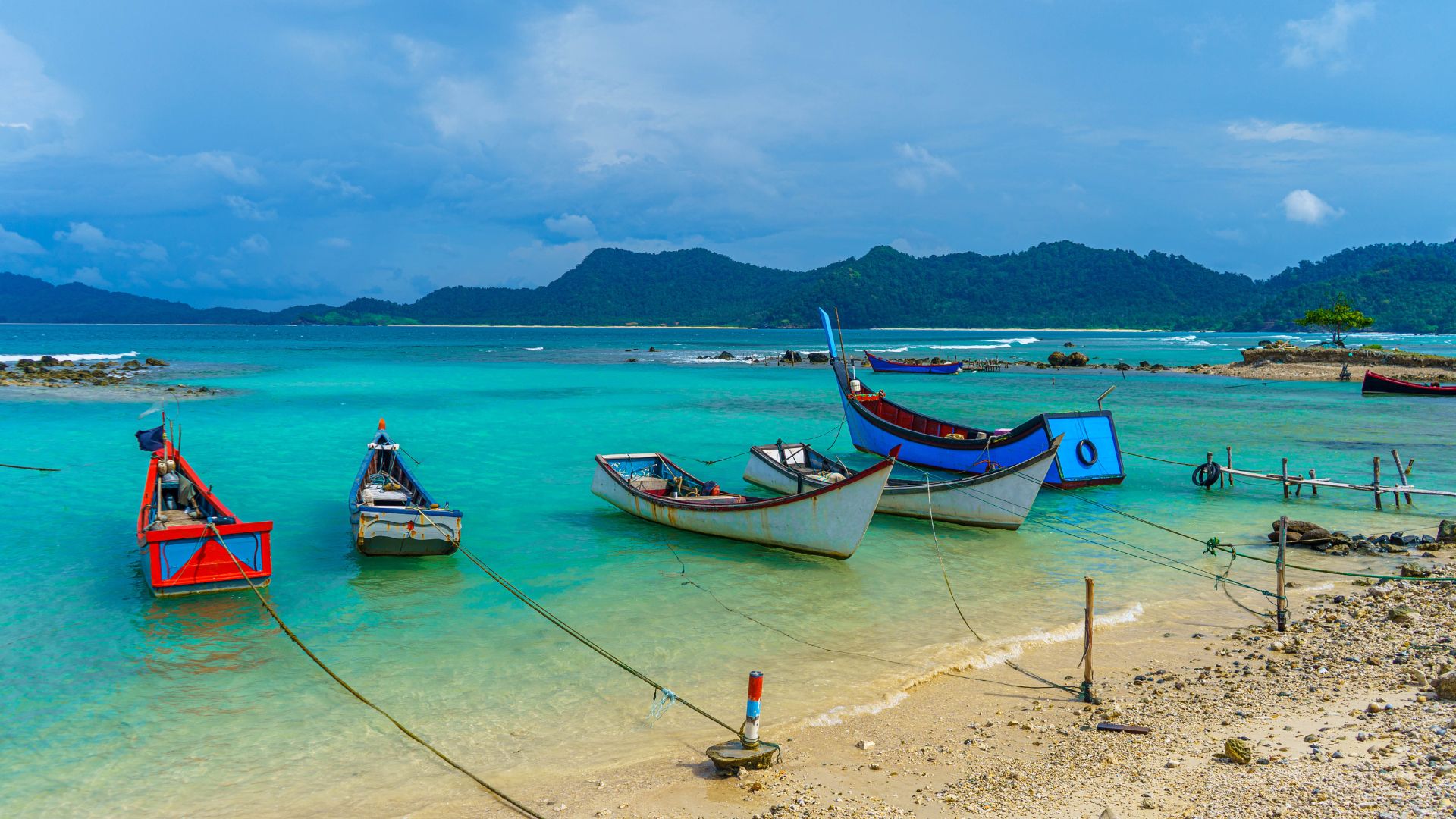 Stories on Tawakkul - Letting Allah Take Hold | About Islam