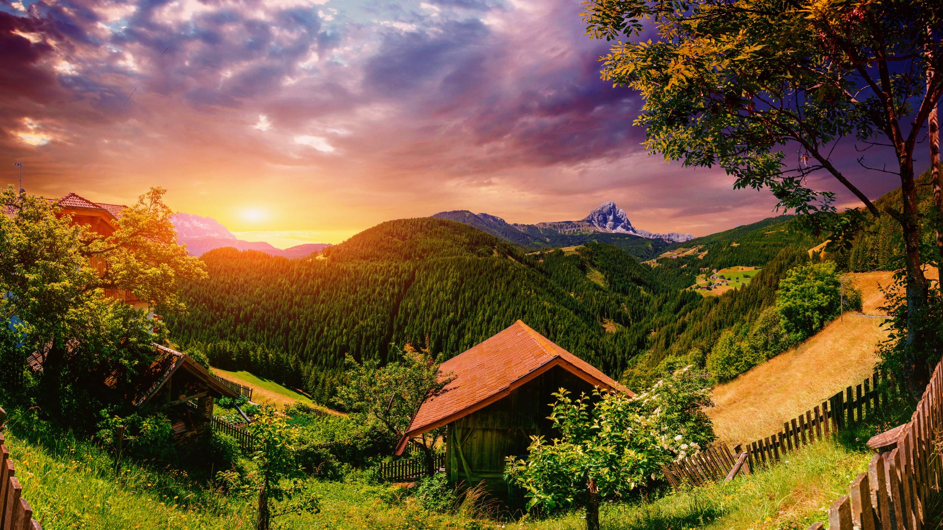 Prophet Muhammad - A Pioneer of the Environment | About Islam
