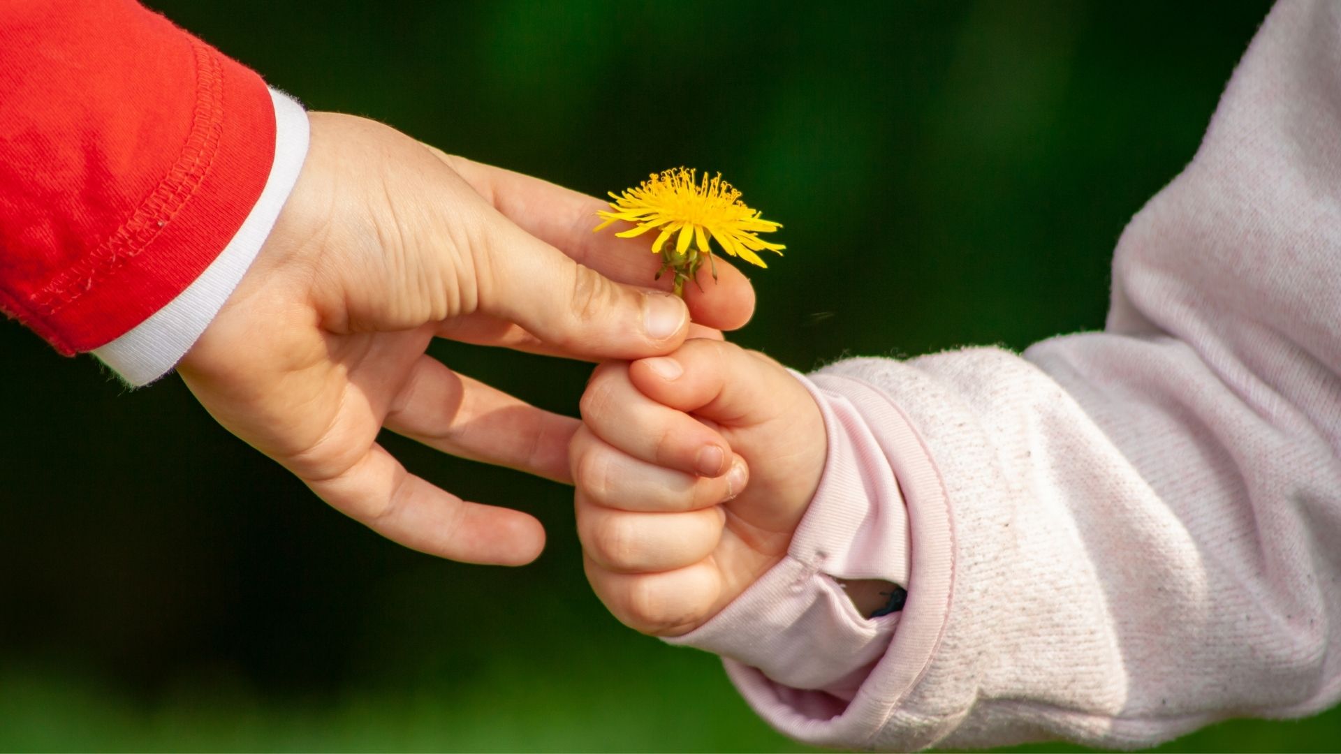 Building Traits for Loving Relationships: Gentleness | About Islam