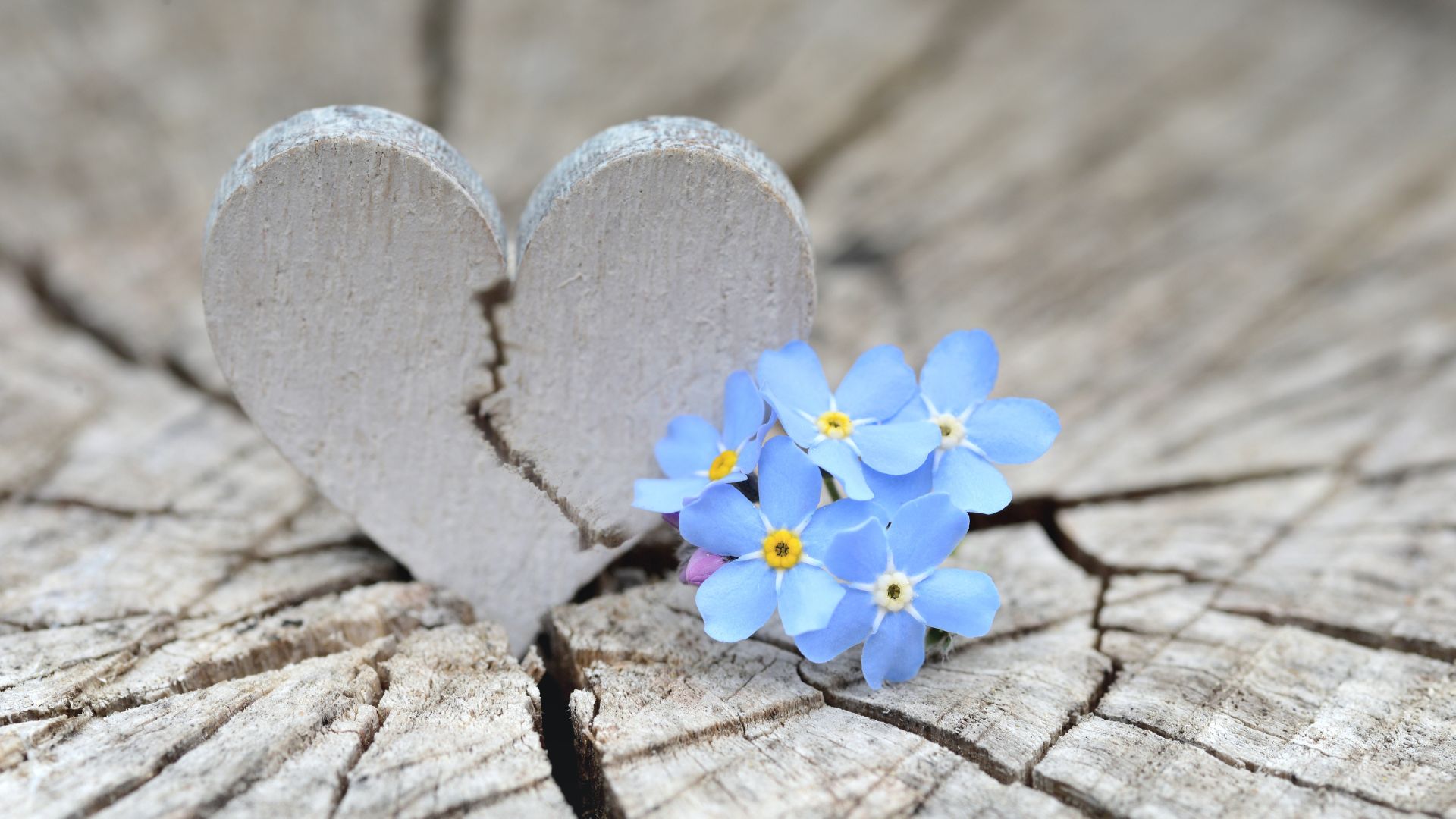 Sealed Heart; I Want My Imaan (Faith) Back! | About Islam