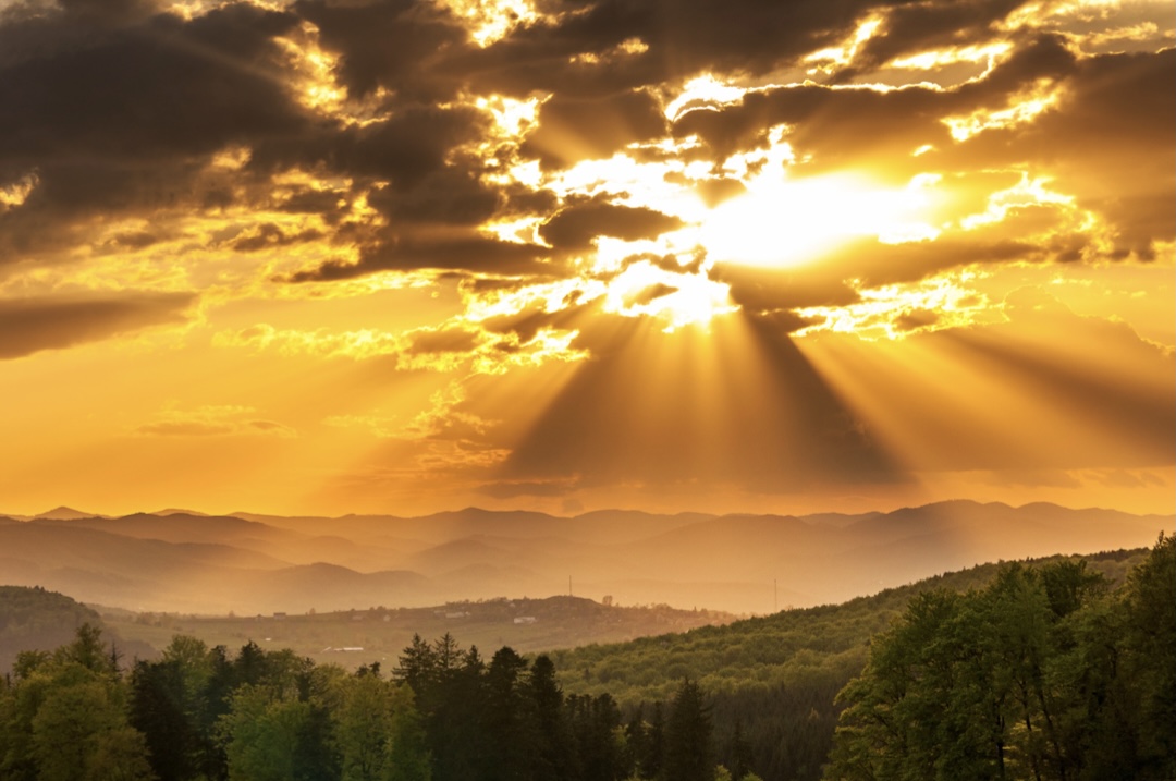 Allah Knows Every Detail Of Your Future | About Islam