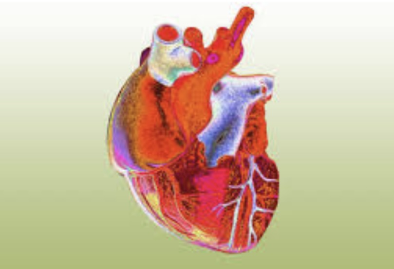 What Does Islam Teach About Organ Donation? | About Islam