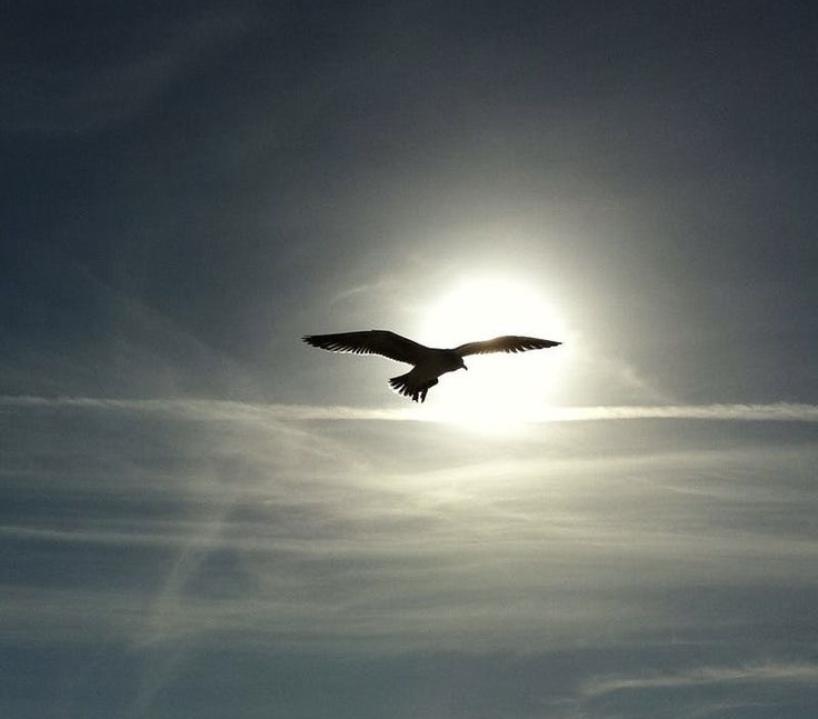 Angel Jibreel - (Muad and Firas) | About Islam