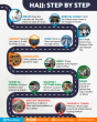 Hajj 101: Here's How Muslims Perform Hajj (Infographic) | About Islam