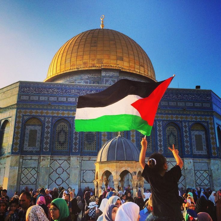 Understanding the Palestinian Situation - Sheikh Yasir Qadhi | About Islam