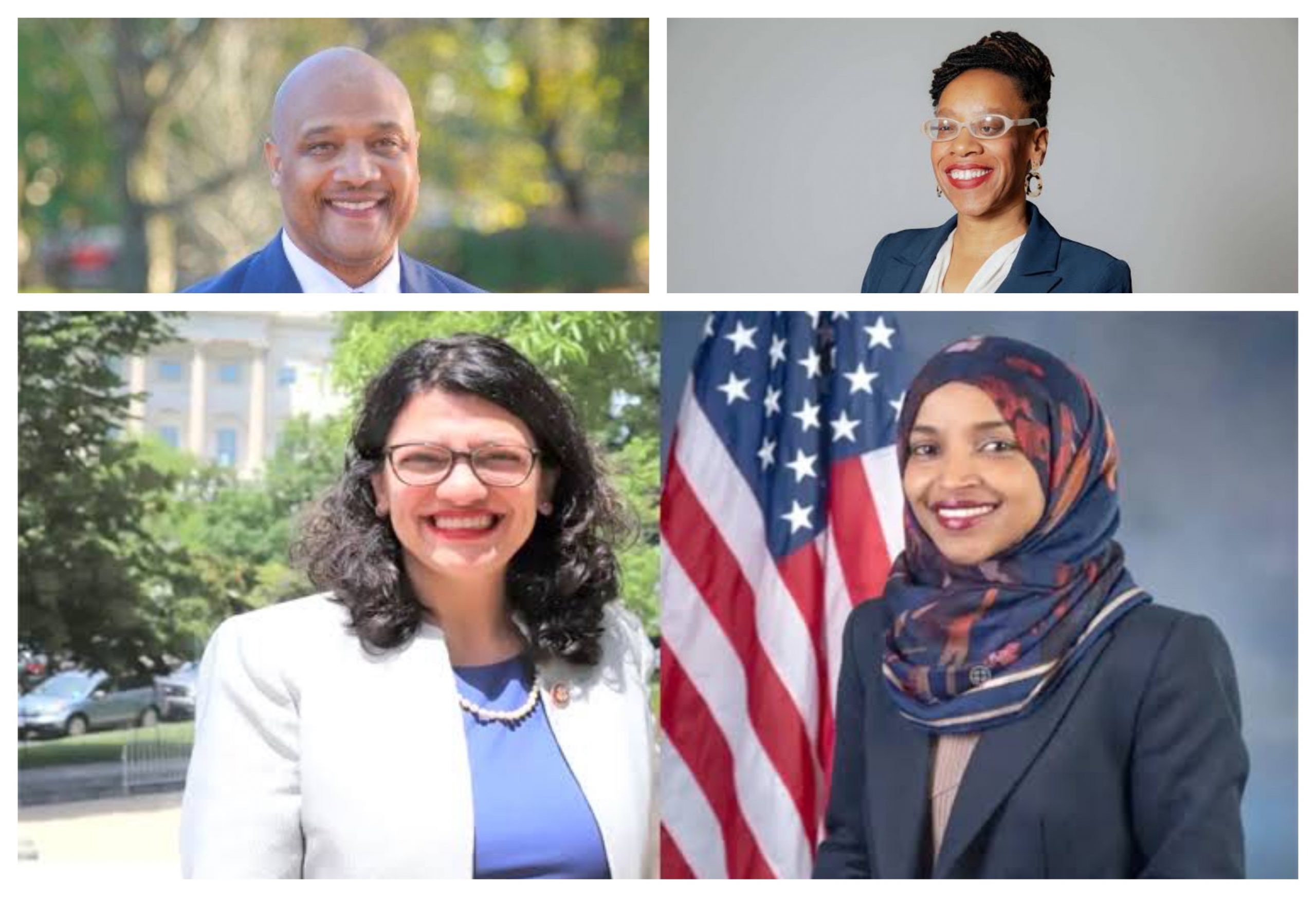 Muslim Representatives Make Historic Gains in Congress | About Islam