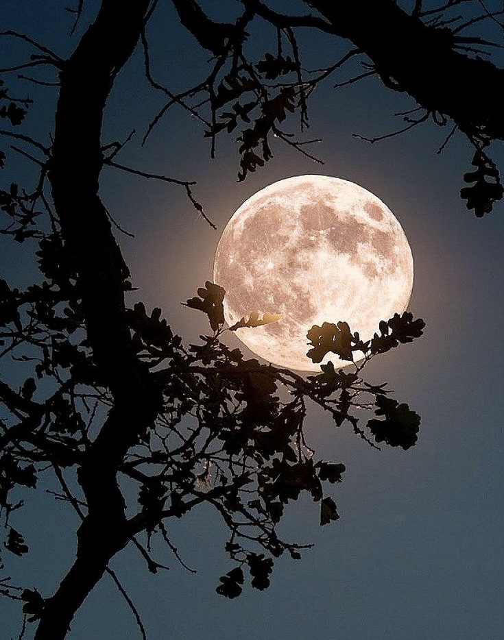 Everything you need to know about Rajab | About Islam