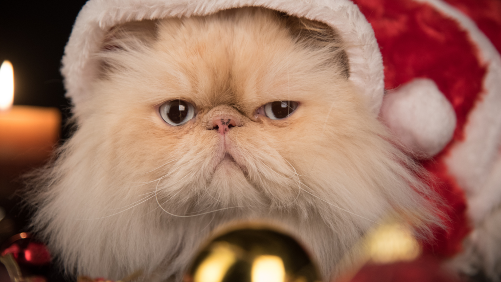 Can Muslims Use Products with Santa Claus Images? | About Islam